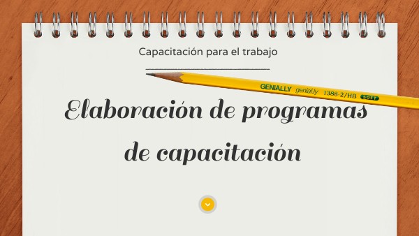 Elaboración de programas de capacitación KARINA