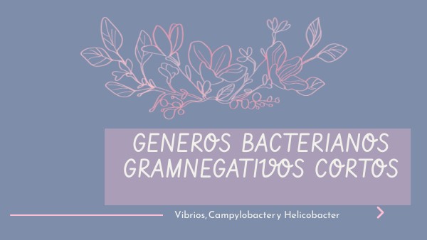 géneros bacterianos