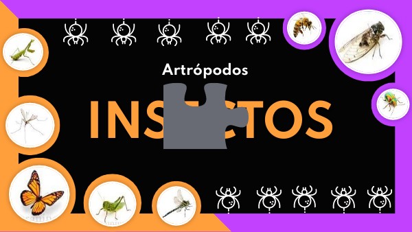 ARTROPODOS-INSECTOS