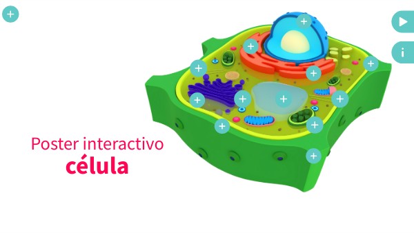 PÓSTER INTERACTIVO CÉLULA