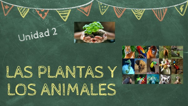 Plantas y animales