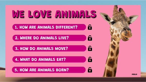 We love animals - 1st grade