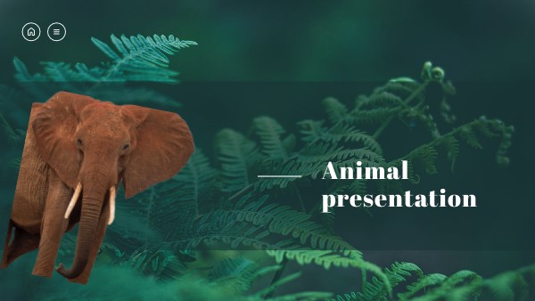 ANIMAL PRESENTATION