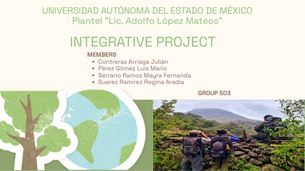 INTEGRATIVE PROJECT E