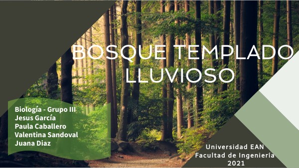 BOSQUE TEMPLADO LLUVIOSO | Genially