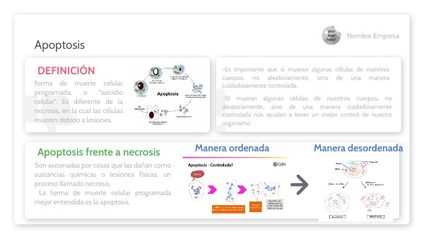 Apoptosis | Genially