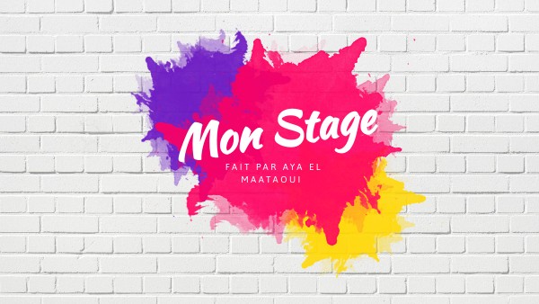 PRESENTATION DE MON STAGE