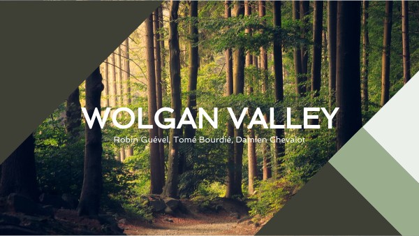 PROJECT TOrODA | Genially