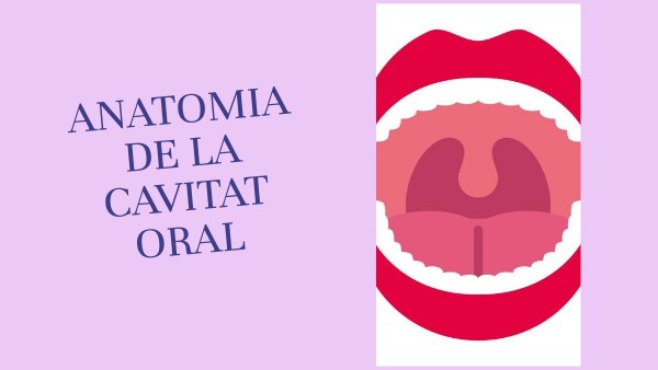 Copia - ANATOMIA CAVITAT ORAL