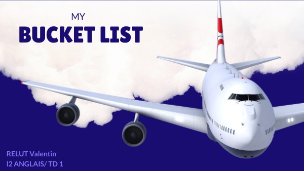 bucket list BY PLANE PRESENTATION | Genially