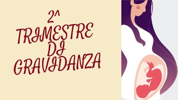 2 TRIMESTRE GRAVIDANZA