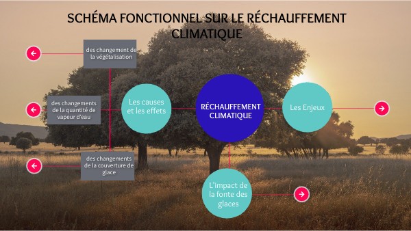 SCHÉMA FONCTIONNEL SUR LE RÉCHAUFFEMENT CLIMATIQUE | Genially