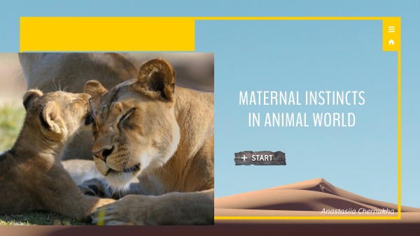 Maternal instincts in animal world