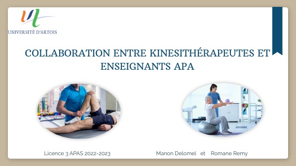 Copie - Copie - BASIC THESIS