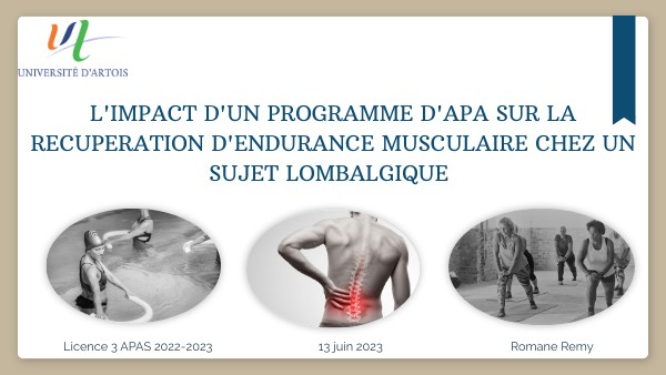 Copie - BASIC THESIS