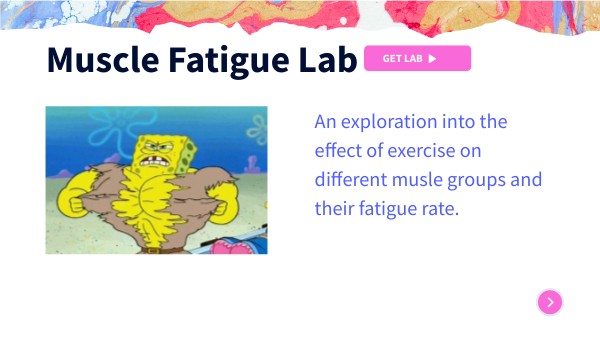 Muscle Fatigue lab
