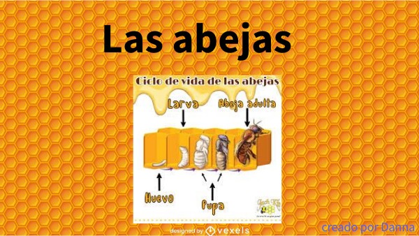 las abejas ciclo de vida | Genially