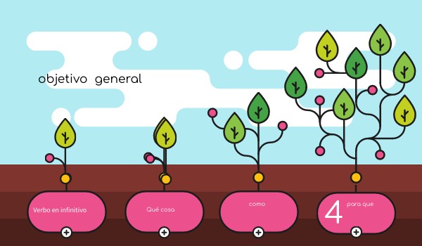 objetivo general
