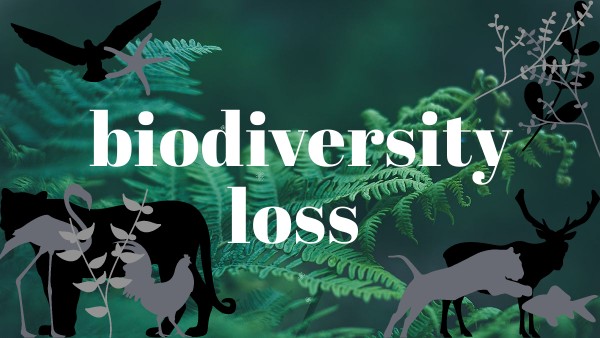 biodiversity loss | Genially