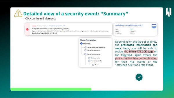 Detection - summary tab