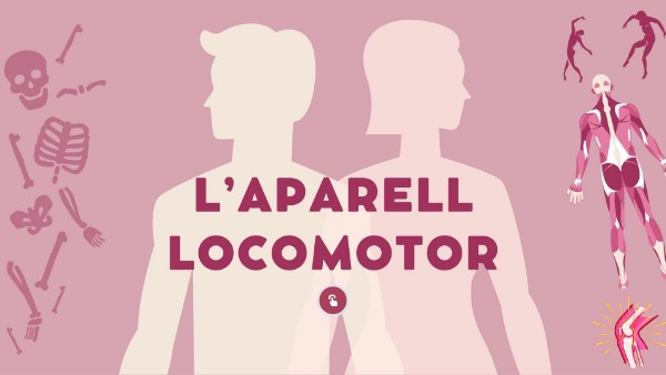 L'aparell locomotor | Genially