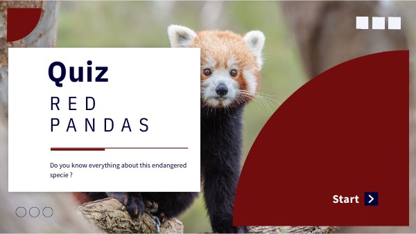 Red panda quiz | Genially