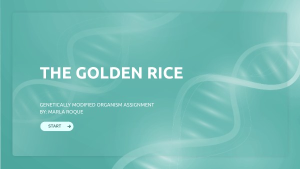 GOLDEN RICE GENETIC MODIFICATION | Genially