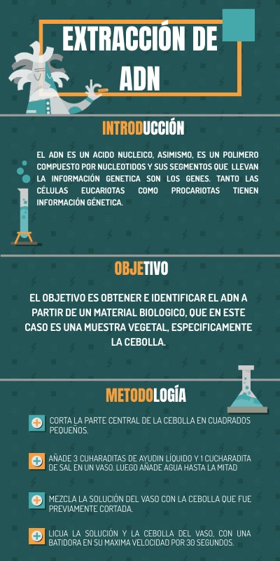 EXTRACCIÓN DEL ADN