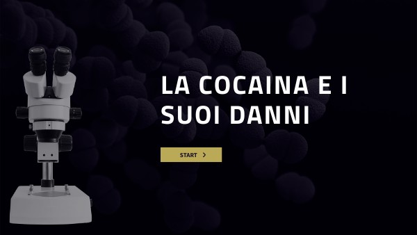 Microparticles Presentation