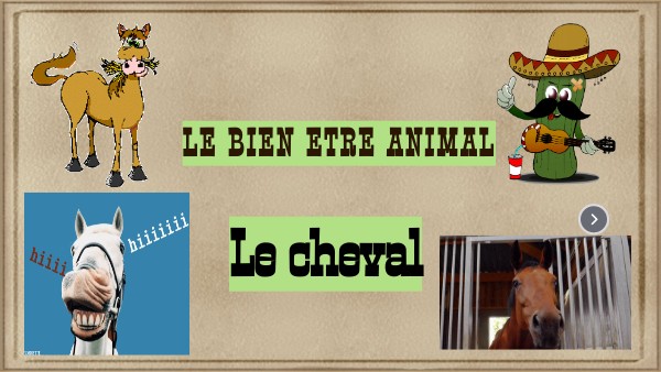 Le bien être animal
