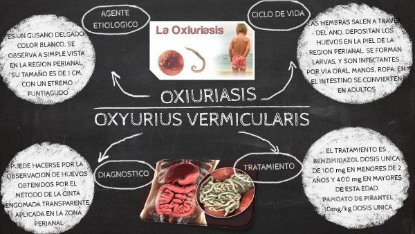 presentacion 1 | Genially