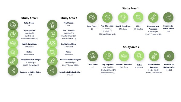 Tree Survey Graphics Rev.