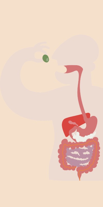 DIGESTIVE VERTICAL INFO