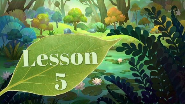 Lesson 5