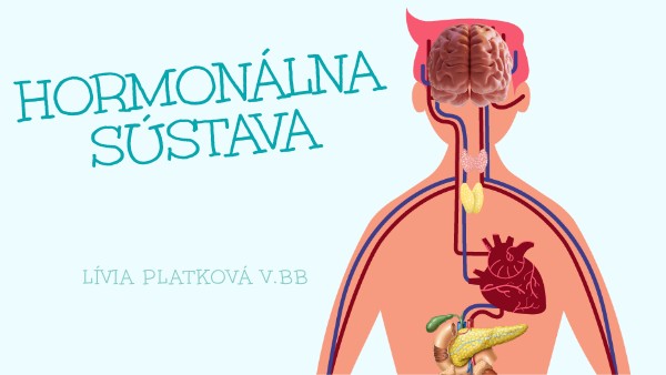 HUMAN BODY PRESENTATION | Genially