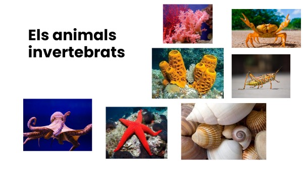 T8 - Els animals invertebrats | Genially