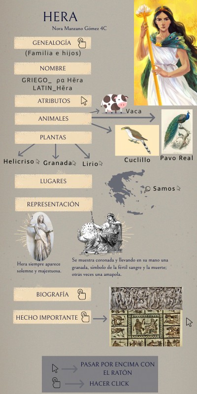 DIOSA HERA