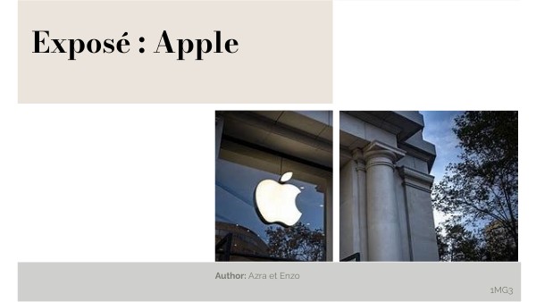 Présentation Gestion