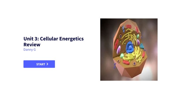 Unit 3: Cellular Energetics Review