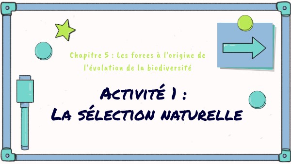 La sélection naturelle TP 2nde | Genially