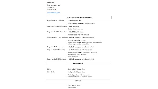 Verbaliser son CV | Genially