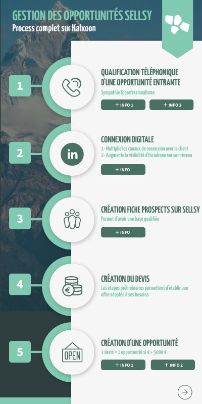 Process gestion opportunités Sellsy | Genially