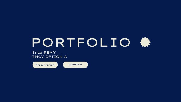PORTFOLIO DESIGN GUIDE