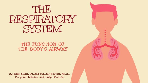 HUMAN BODY PRESENTATION