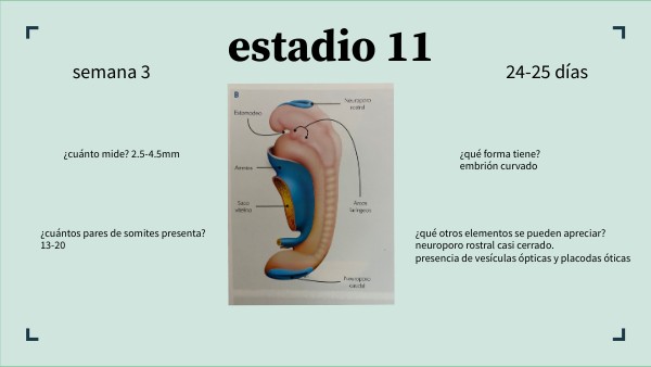 IMAGEN INTERACTIVA BÁSICA