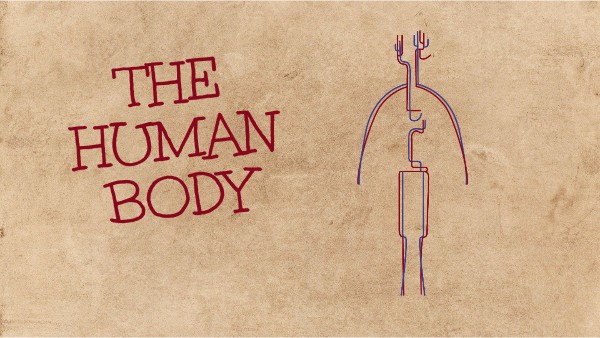 HUMAN BODY PRESENTATION | Genially