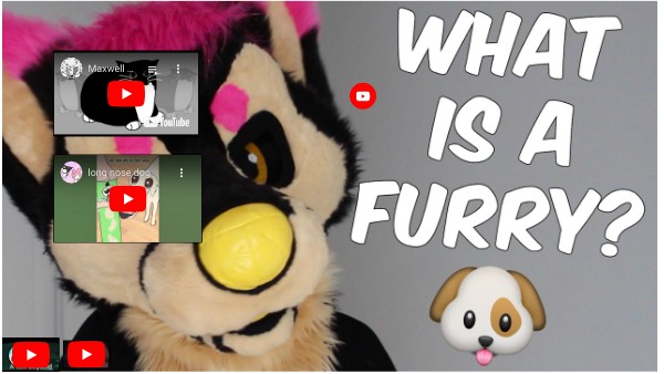 what is furry