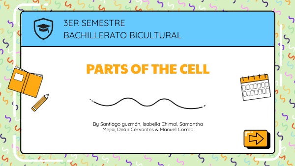 Animal Cell