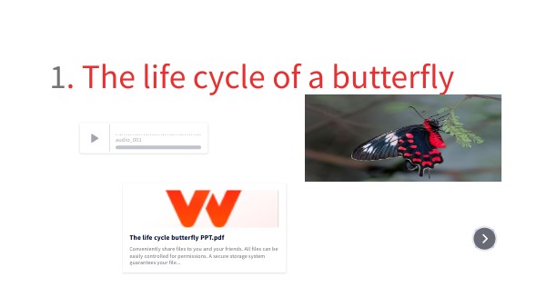 BASIC QUIZ-The stages of a butterfly life cycle | Genially