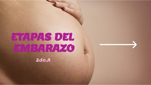 ETAPAS DEL EMBARAZO | Genially
